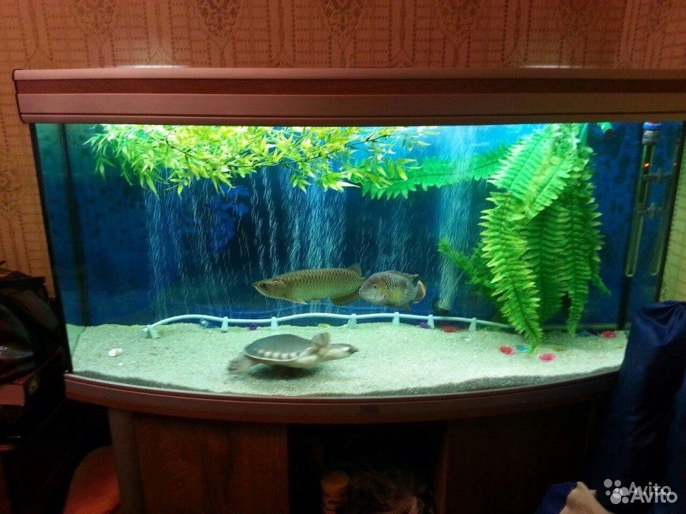 Аквариум Aquatlantis Ambiance horizon
