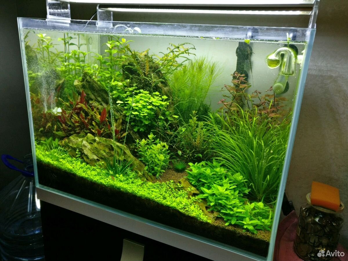 Аквариум optiwhite 60 литров