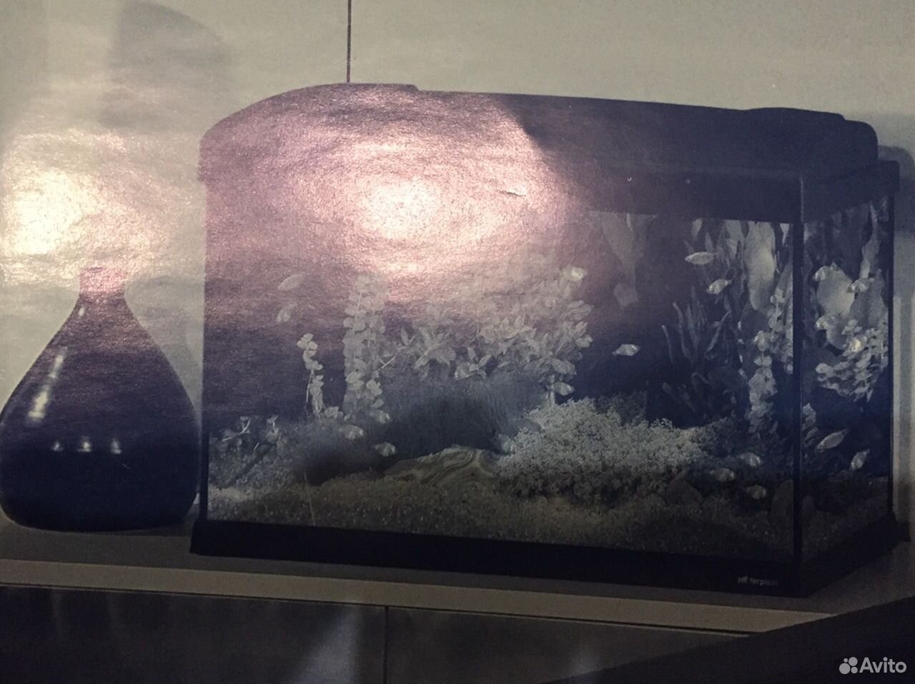 Аквариум Ferplast Capri 60 литров