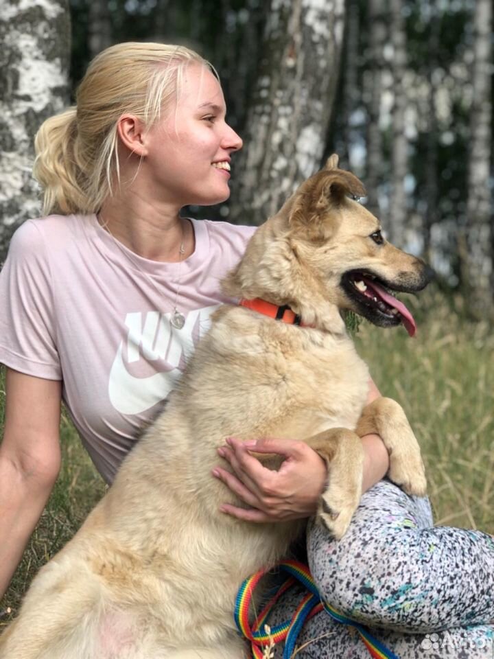 Оливия ищет дом