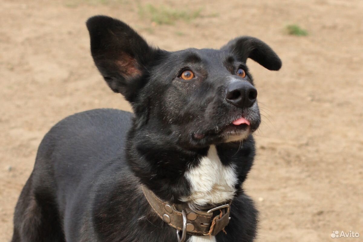 Лучший Ваш подарочек, это я