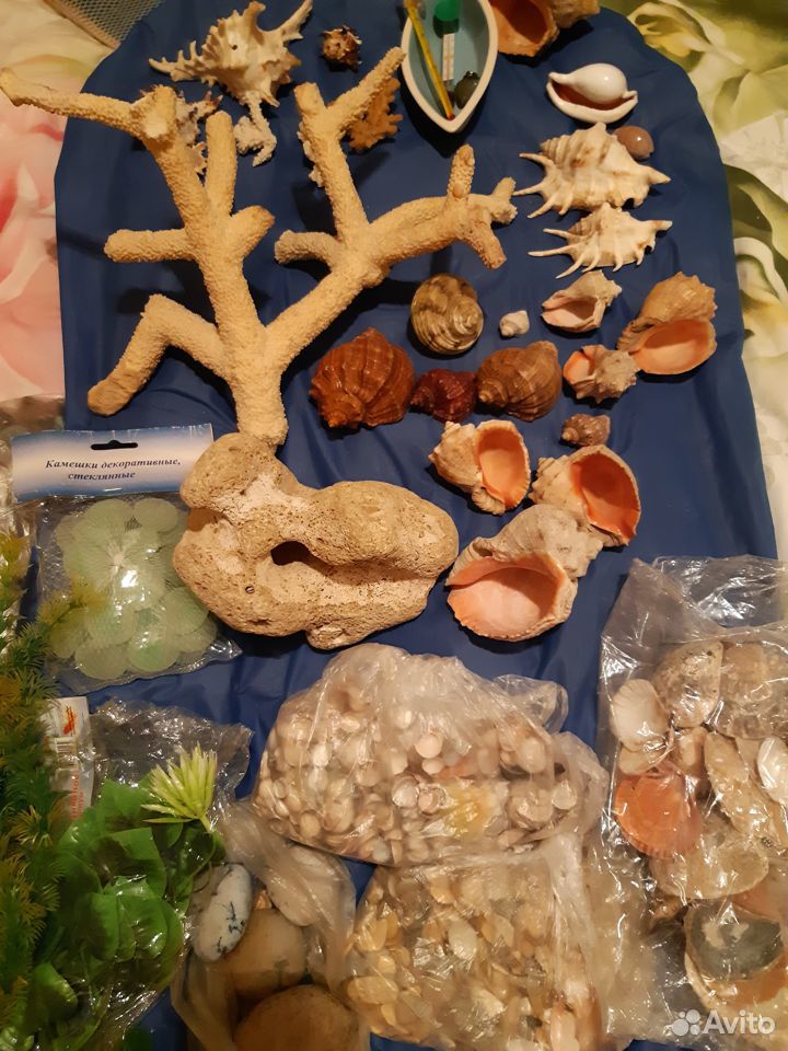 Камни ракушки кораллы для аквариума