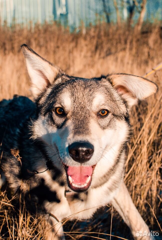 Скай - солнце снаружи