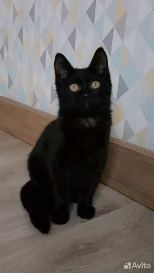 Малыш Дориан