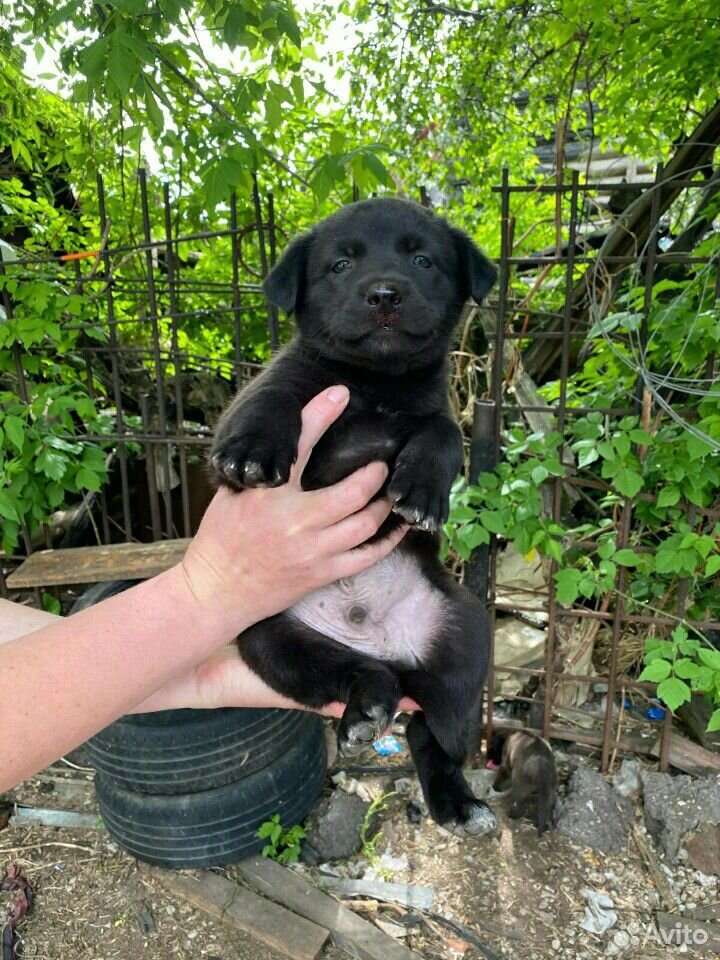 Супер киндер
