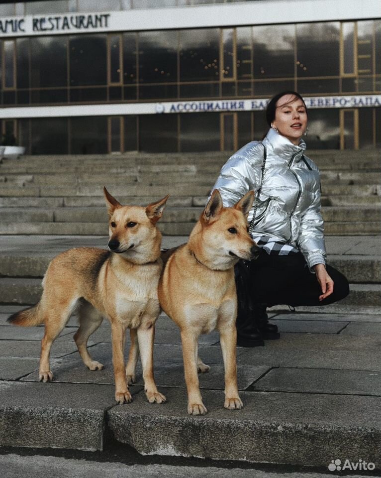 Двойняшки в один дом