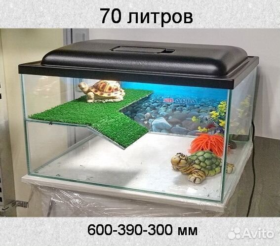 Черепашник