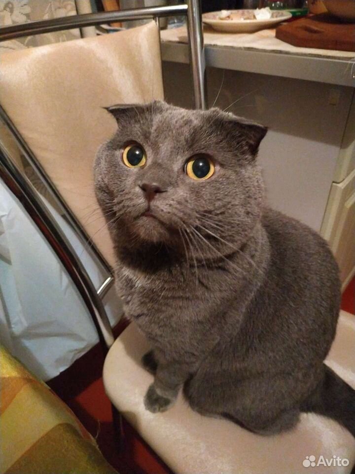 Вязка
