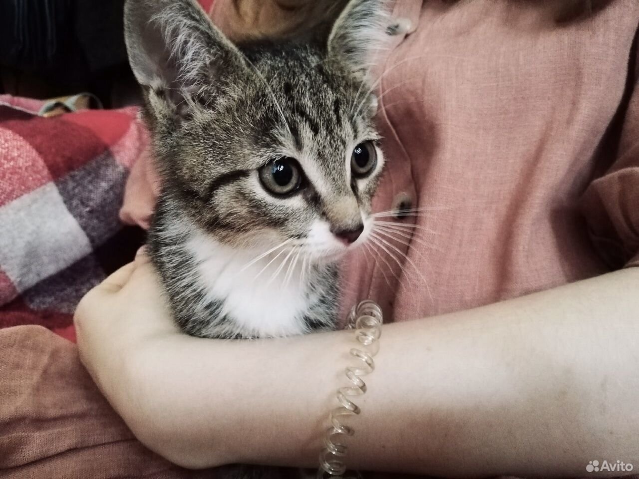 Европейская