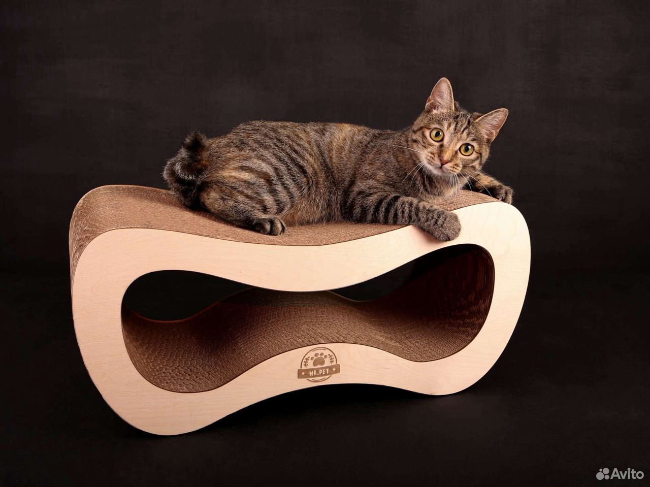 Кошечка Рокси, метис бобтейла, 1.5 года