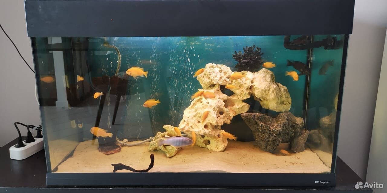 Аквариум, со всем оборудованием в отл.сост