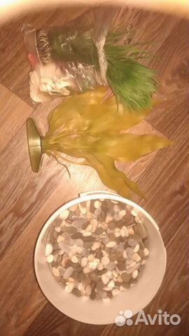 Травка камушкив аквариум 200