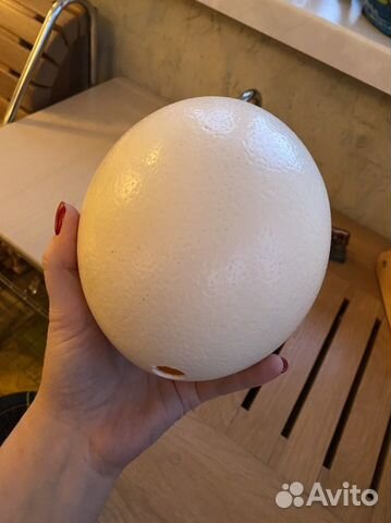 Скорлупа яйца страуса