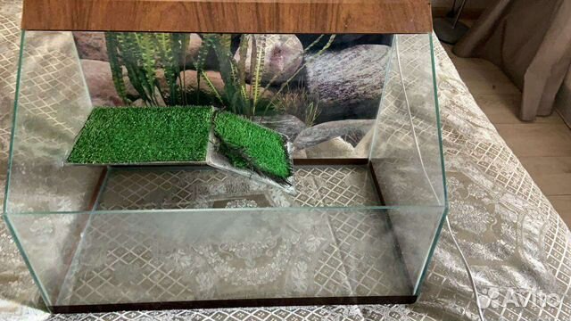 Аквариум террариум