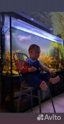 Аквариум 500л