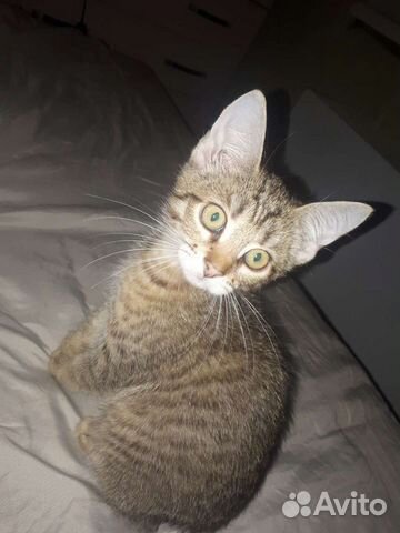 Мега-активная девочка