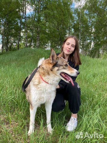 Уся малышка