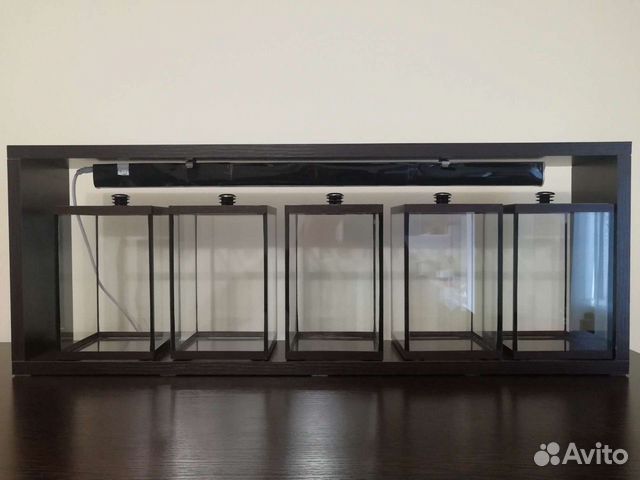 Аквариум для петушков