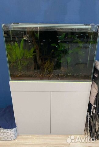 Аквариум с тумбой 120 литров