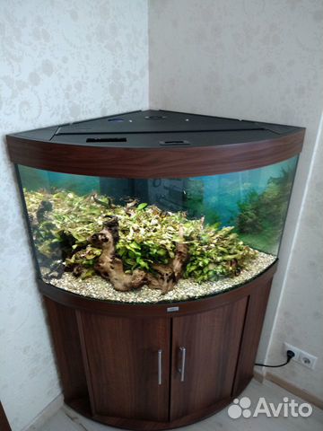 Аквариум Juwel Trigon 190