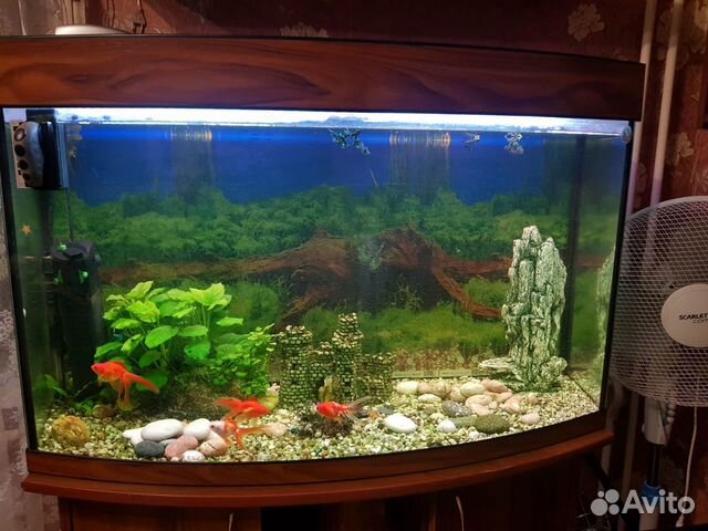 Аквариум