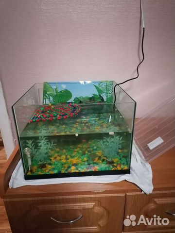 Аквариум для черепах