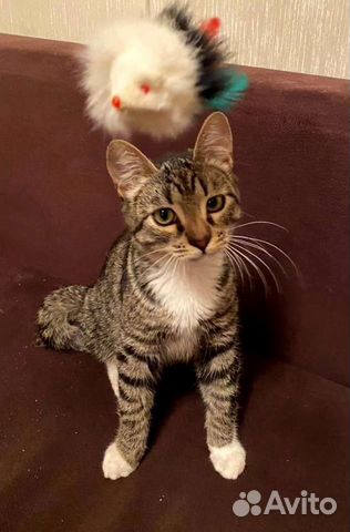 Мальчик 3,5 м