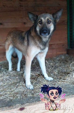 Линда должна быть дома