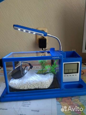 Аквариум настольный