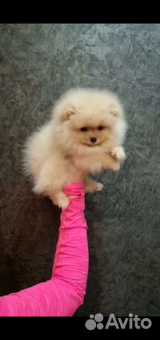 Очаровательный пупс