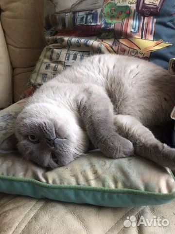 Отдам в добрые руки