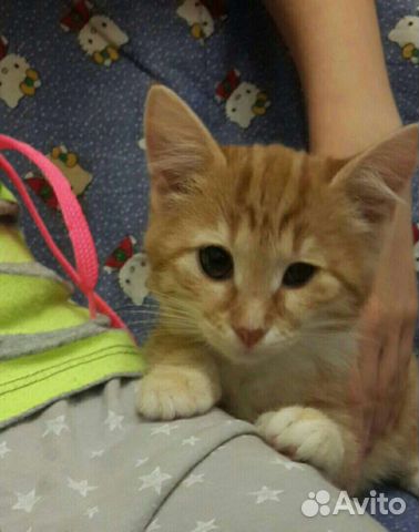 Маленькая девочка