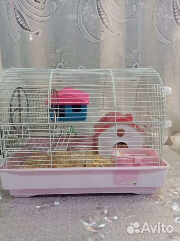 Джингарик хомяк с клеткой