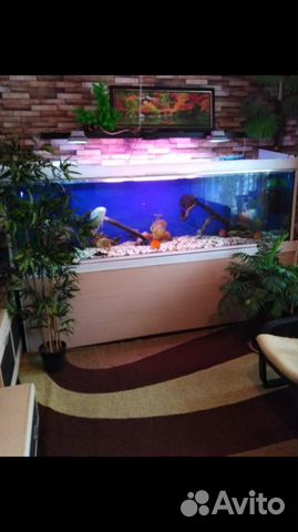 Аквариум на 1100 литров