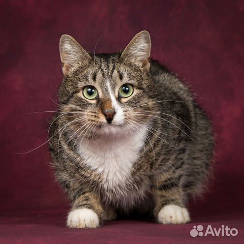 Шпротик мальчик Лучано. Лучику нужен человек