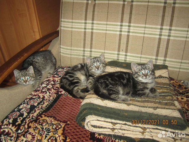 2 девочки и 1 мальчик(мрамор) 2 м