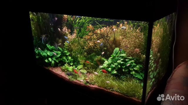 Грунт JBL Manado 25 л