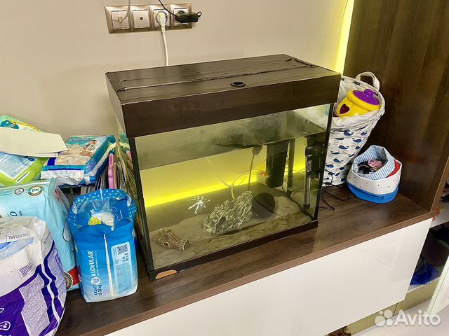 Аквариум с рыбками и оборудованием в хорошие руки