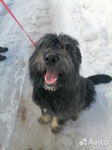 Цветной рчт в дар в семью