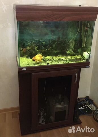 Аквариум