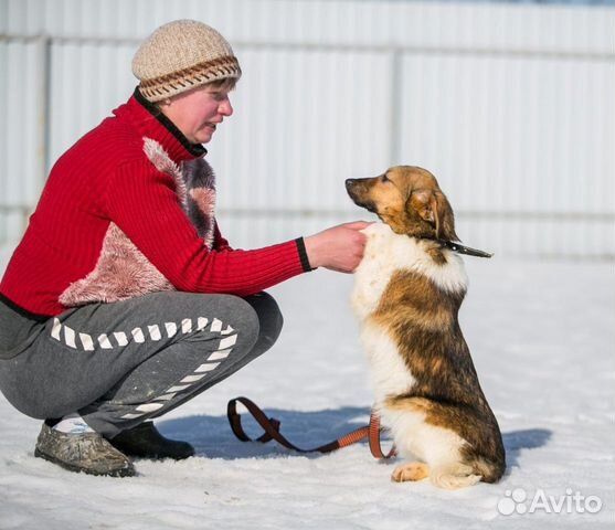 Щенок Пуся в добрые руки