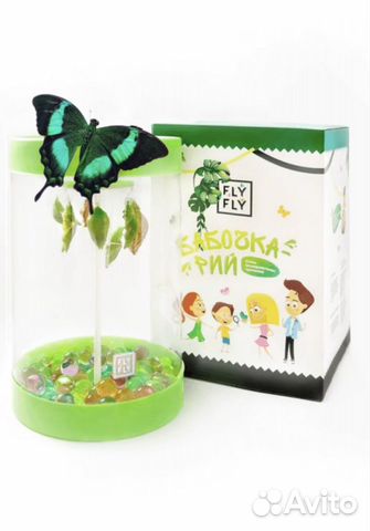 Бабочкарий