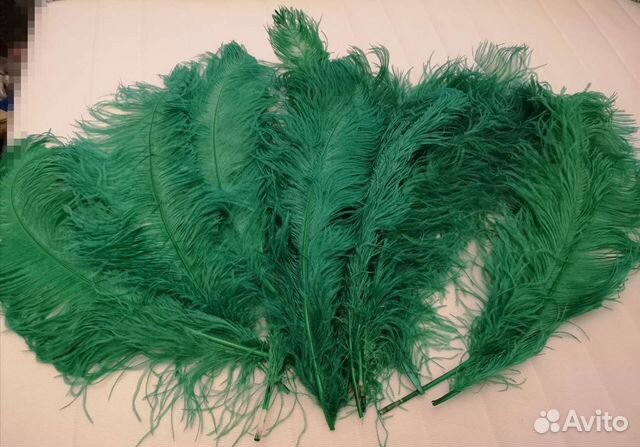 Страусиные перья