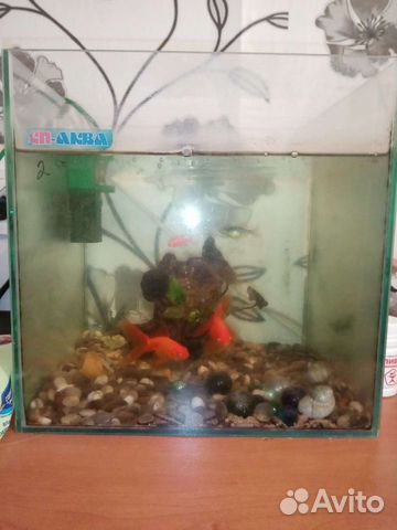 Аквариум