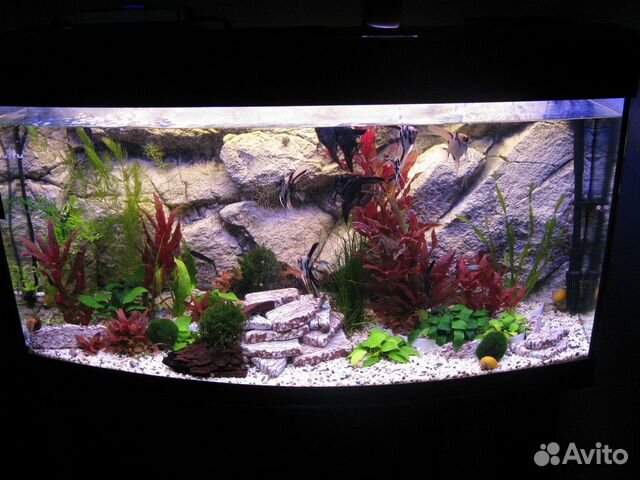 Аквариум с тумбой