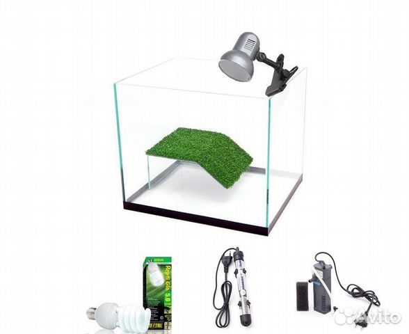 Черепашки и все для них