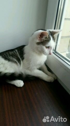 Шикарный мальчик 3.5 мес