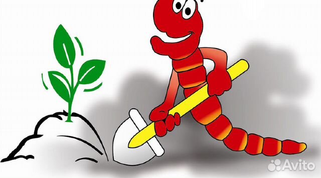 Предлагаю червя Старатель