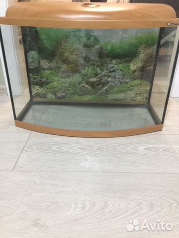 Аквариум AquaPlus 50 л