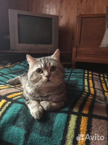 Вязка
